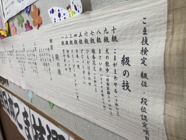 第8回こま技選手権大会 – 日本こままわし協会